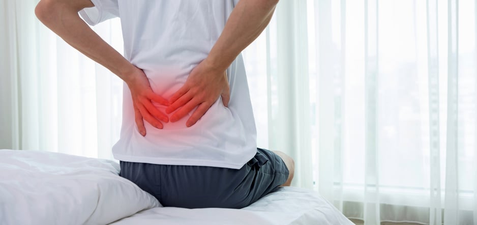Exploring Low Back Pain