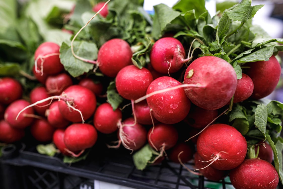 Radishes - An Often Overlooked Vegetable