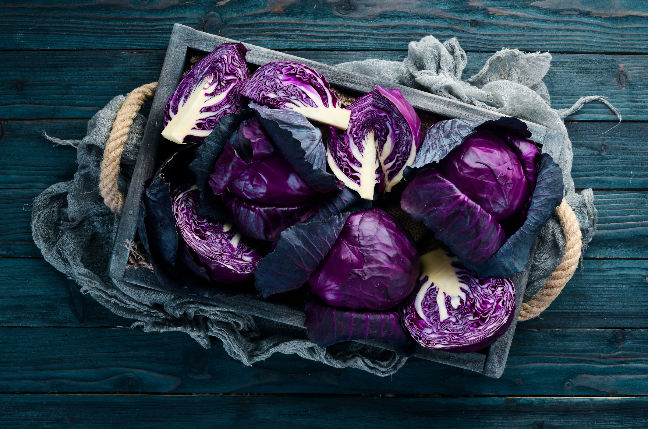 Celebrating Cabbage!