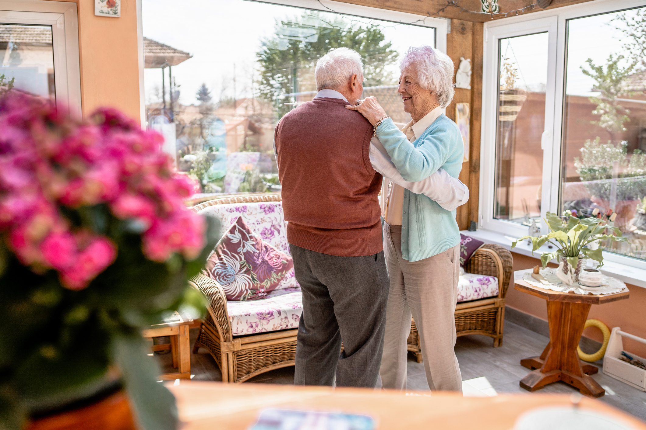 Senescent Cells & Longevity